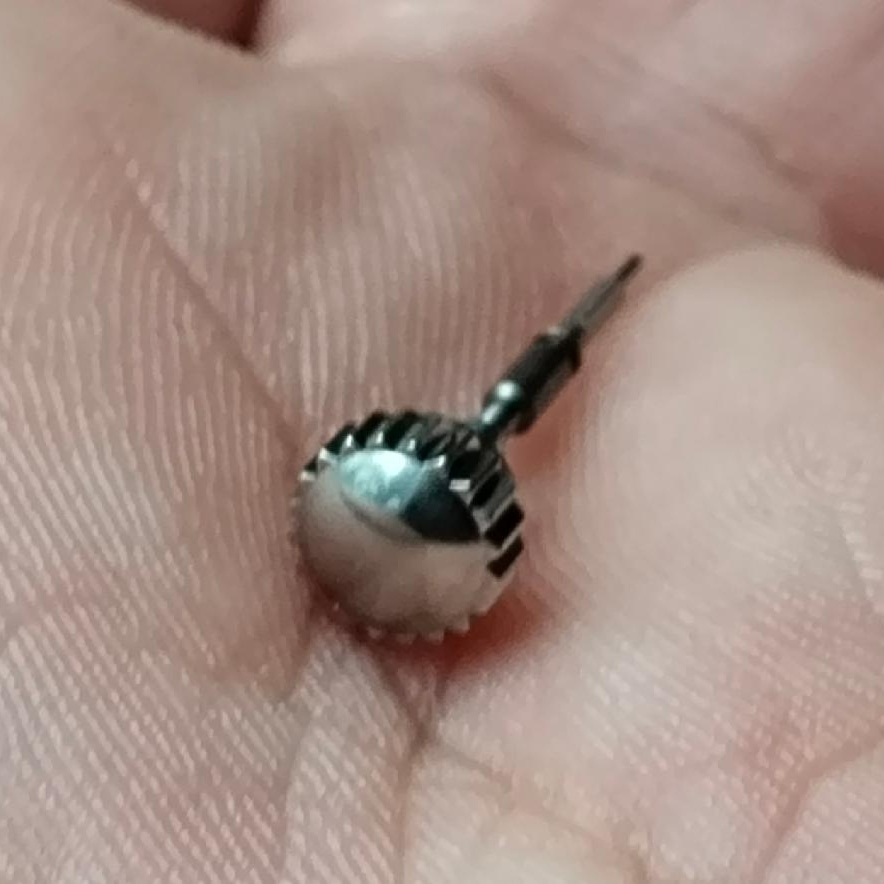 Korunka na PS 1 – AntikPrim